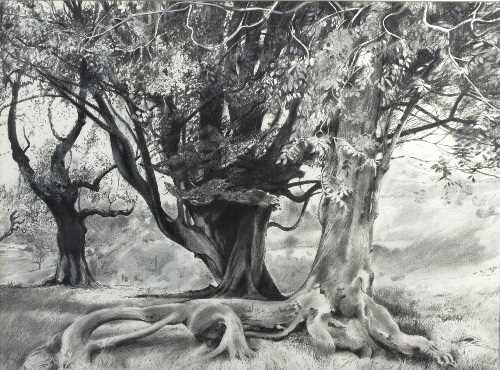 Lot 474 - Betty Pennell (British, born 1930)/Trees at